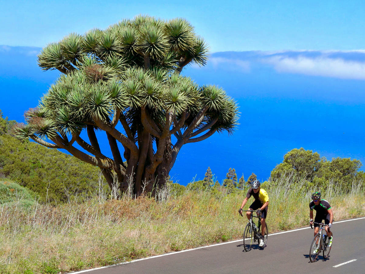 (für Freunde, Grossfamilien, Radcliquen…..)